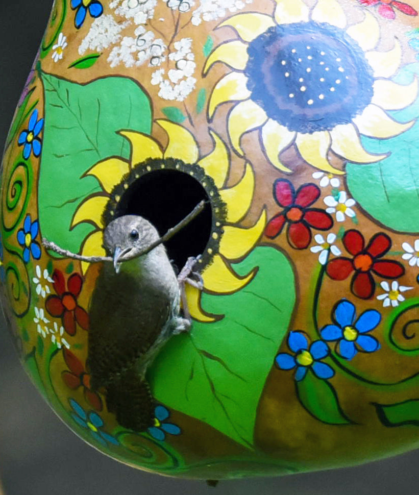 Birdhouse Gourds - Outdoor Ready Birdhouses and Nests - Handmade ...