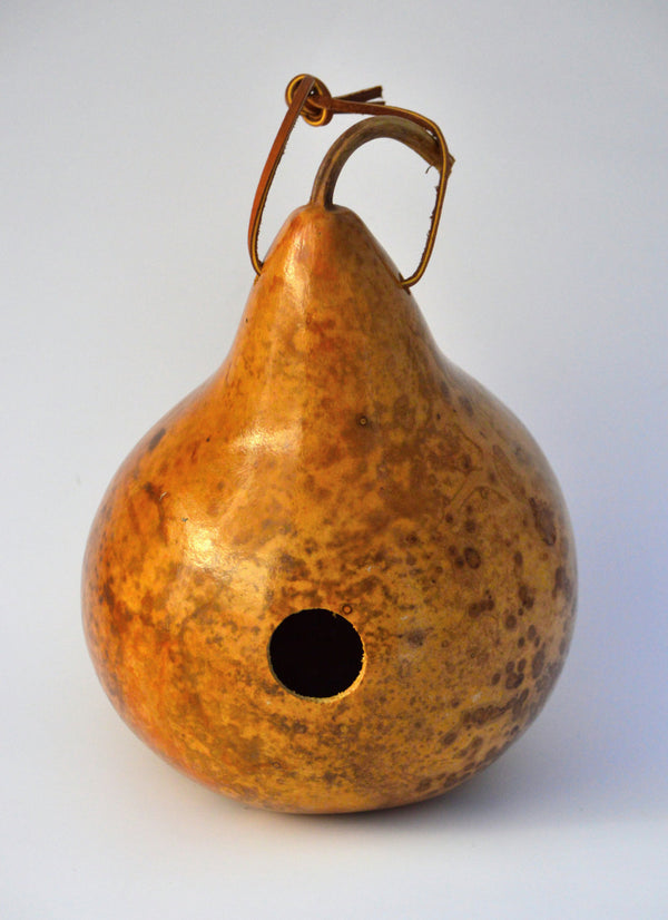 Gourd Birdhouse - Natural Finish - Perfect for a Bird's Nest! – Gourdaments